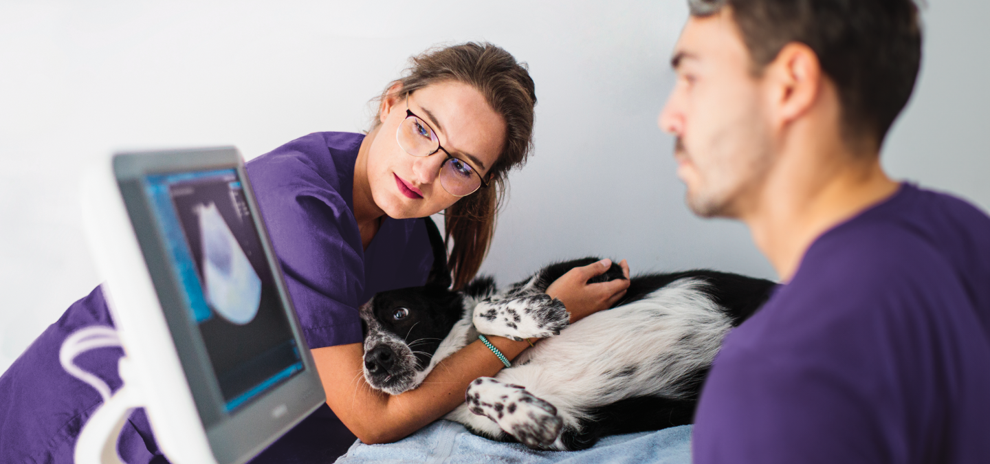 À propos d'ANTECH™